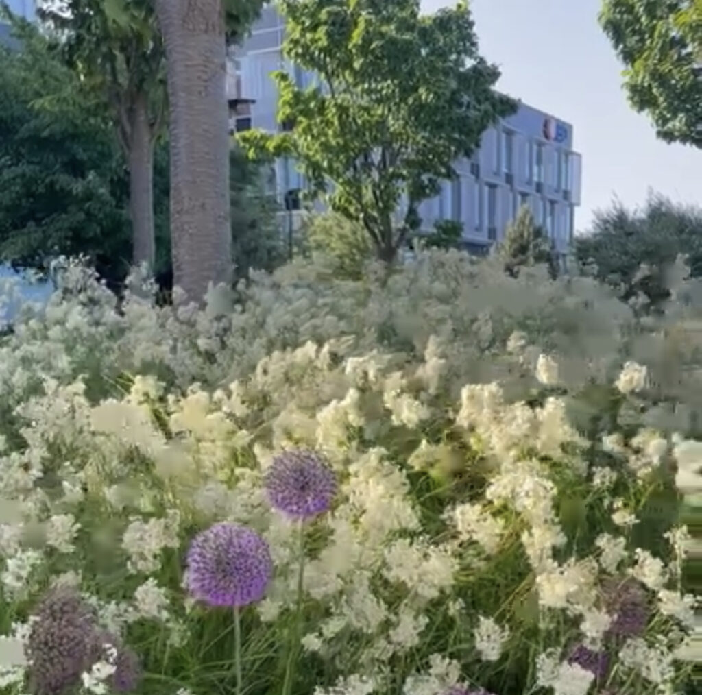 World Environment Day | Winnersh Triangle Business Park